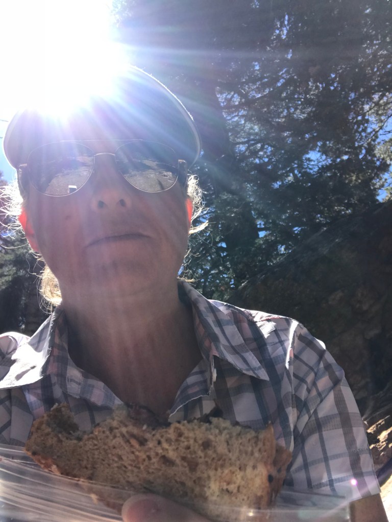 Idyllwild: Devil’s Slide to Tahquitz Fire Lookout – Oct 2018 – Hiking Holly